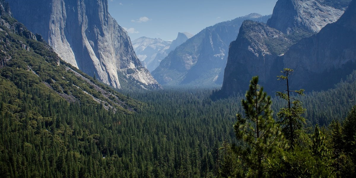 Home | PROBIORINSE - Probiotic Nasal and Sinus Rinse